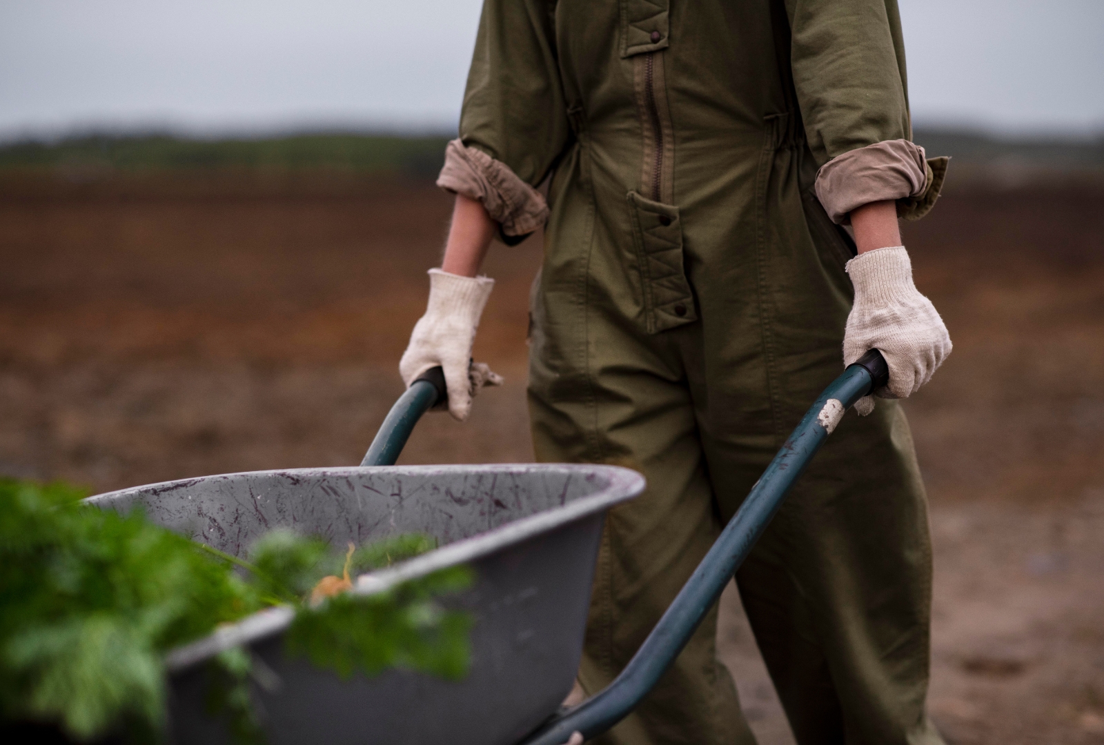 Collection and disposal of agricultural waste | Order online